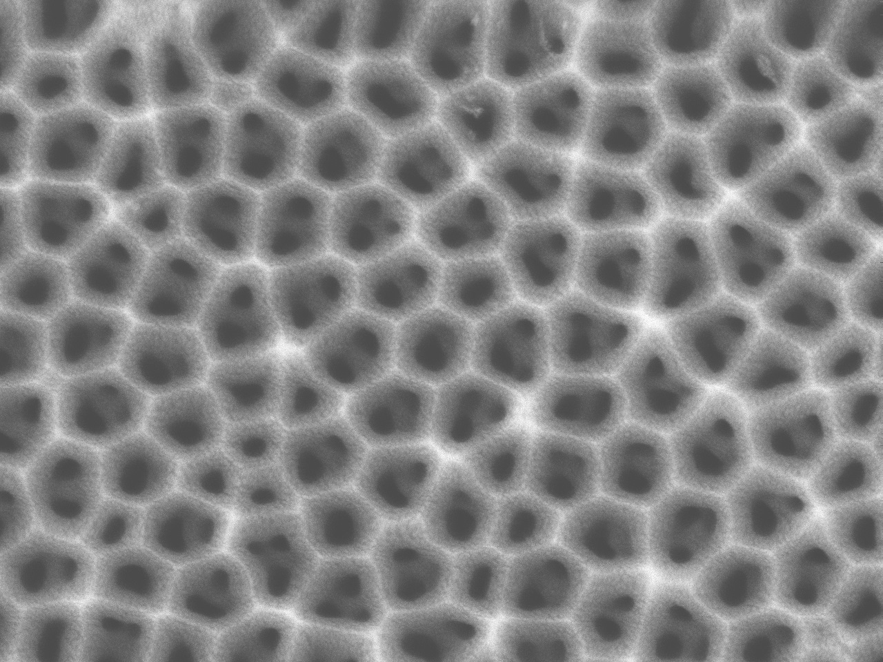 Anisotropic AAO Membranes | InRedox