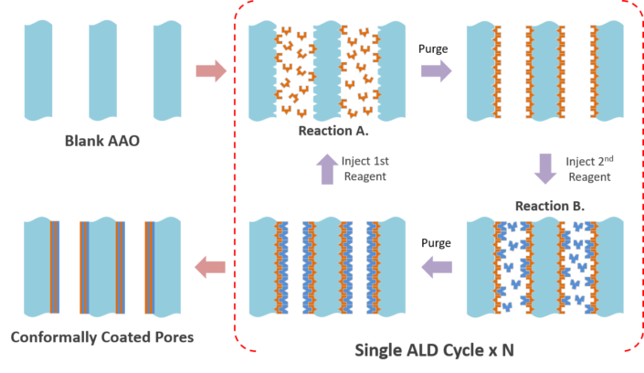 ALD in AAO Nanopores – InRedox